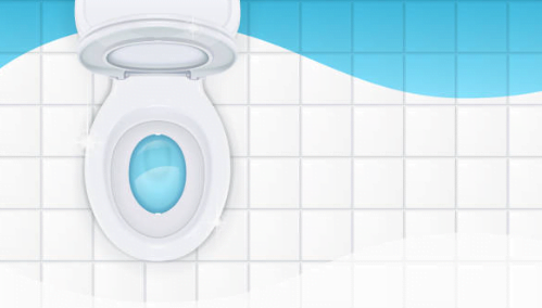 Toilet Losing Water in the Bowl? How to Fix It - SPRUCE BATH