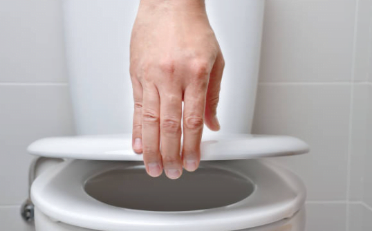 Toilet Flushes But Poop Stays: Here is How To Fix It - SPRUCE BATH
