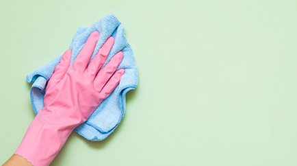 How to Clean Fly Poop off Walls - SPRUCE BATH